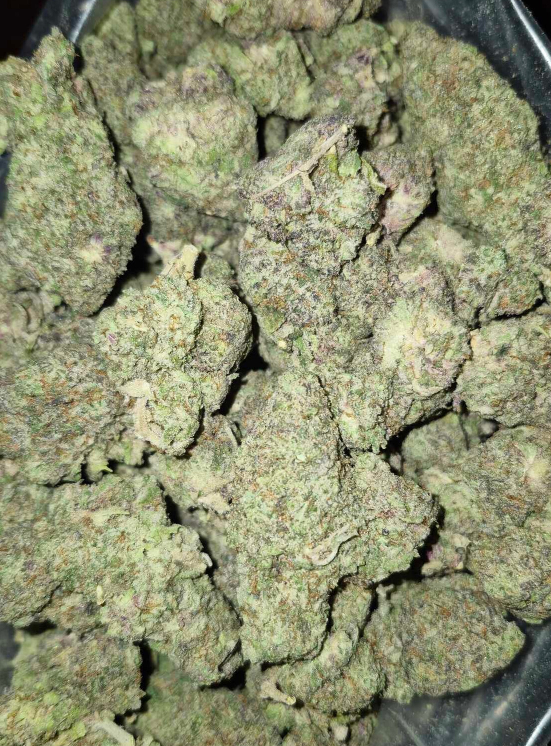 Jelly Rock – Primo