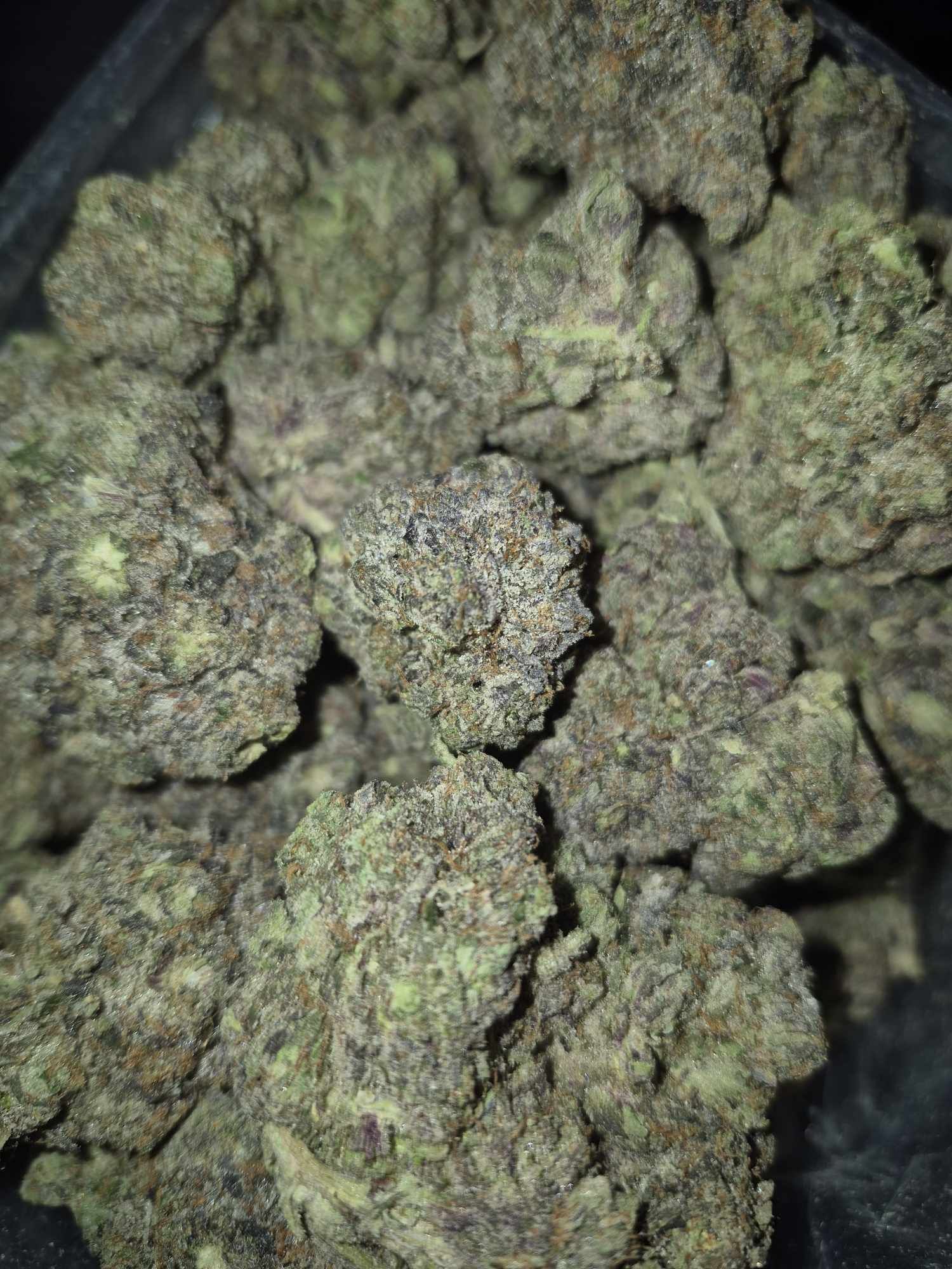 Coastal Death – Primo