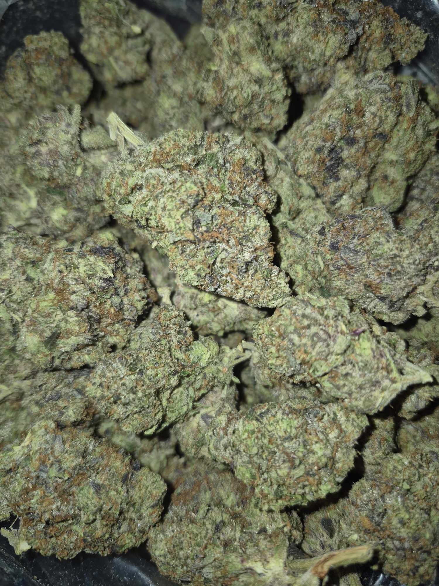 Couch Lock – Primo