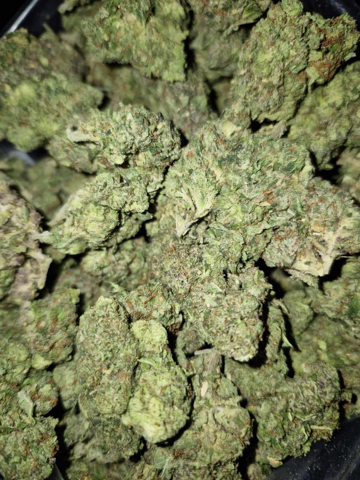 Green Crack – Primo