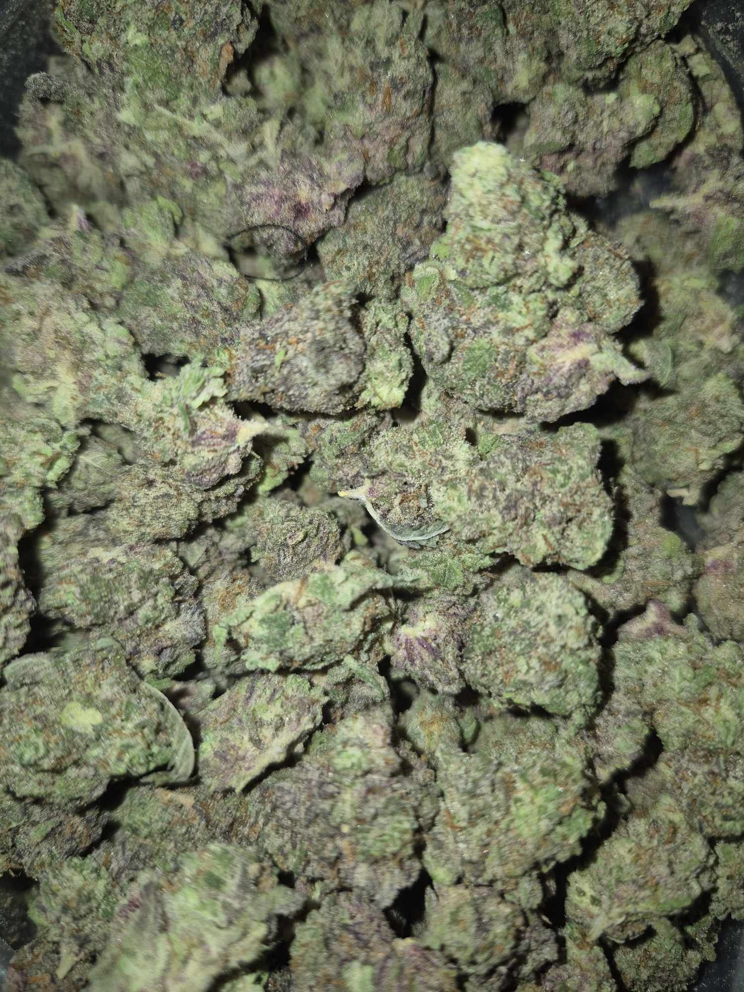 Jelly Breath – Primo