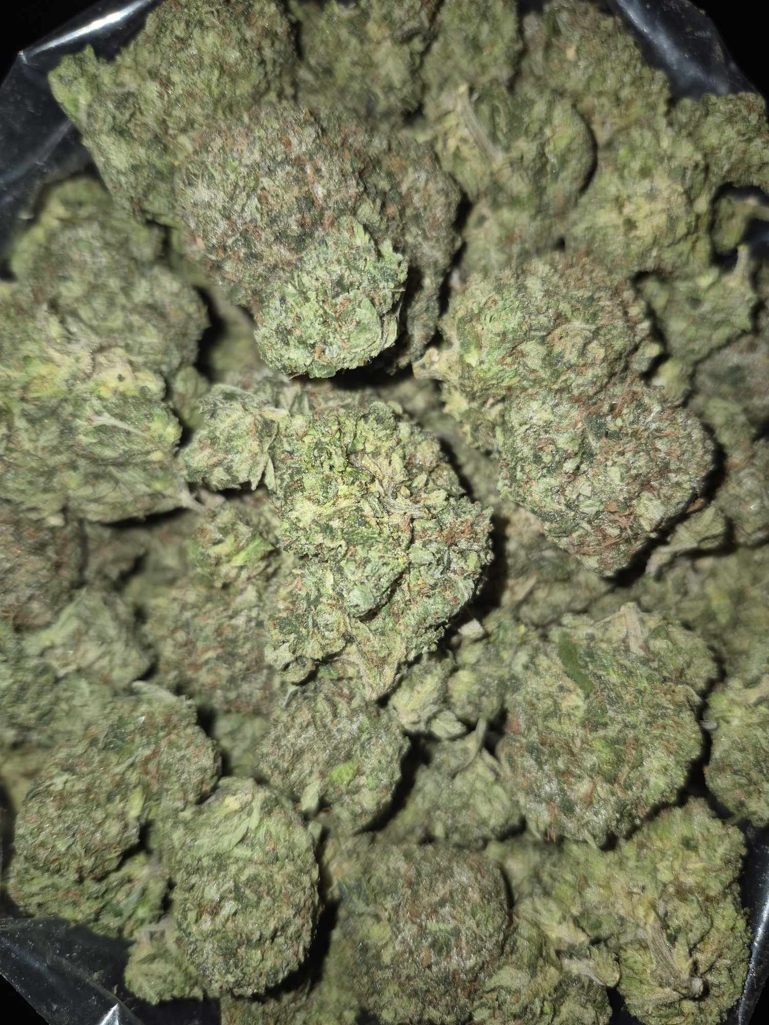 Bubba Kush – Primo